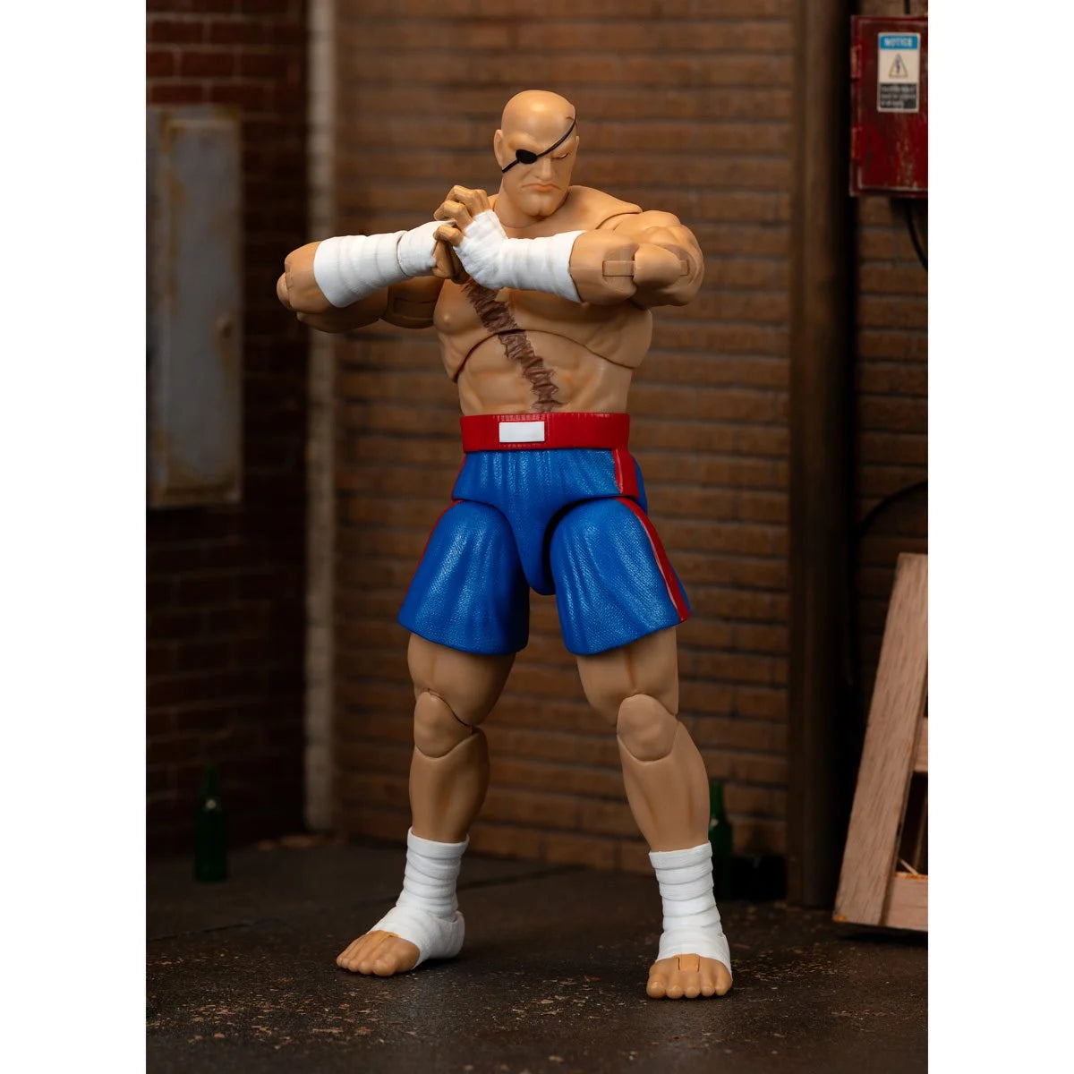 IN STOCK! Ultra Street Fighter II Sagat 6-Inch Scale Deluxe Action Fig ...
